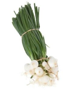 Accueil - Au jardin d'Étienne - L'amour du bon - Votre maraicher local